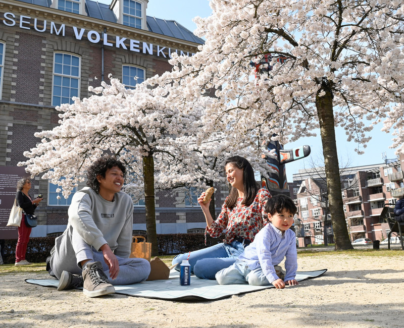 Hanami 2024 | Wereldmuseum Leiden